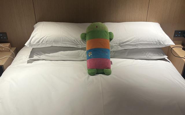 L7 해운대 바이 롯데호텔 호텔/리조트 사진, 가격, 위치소개 | NOL