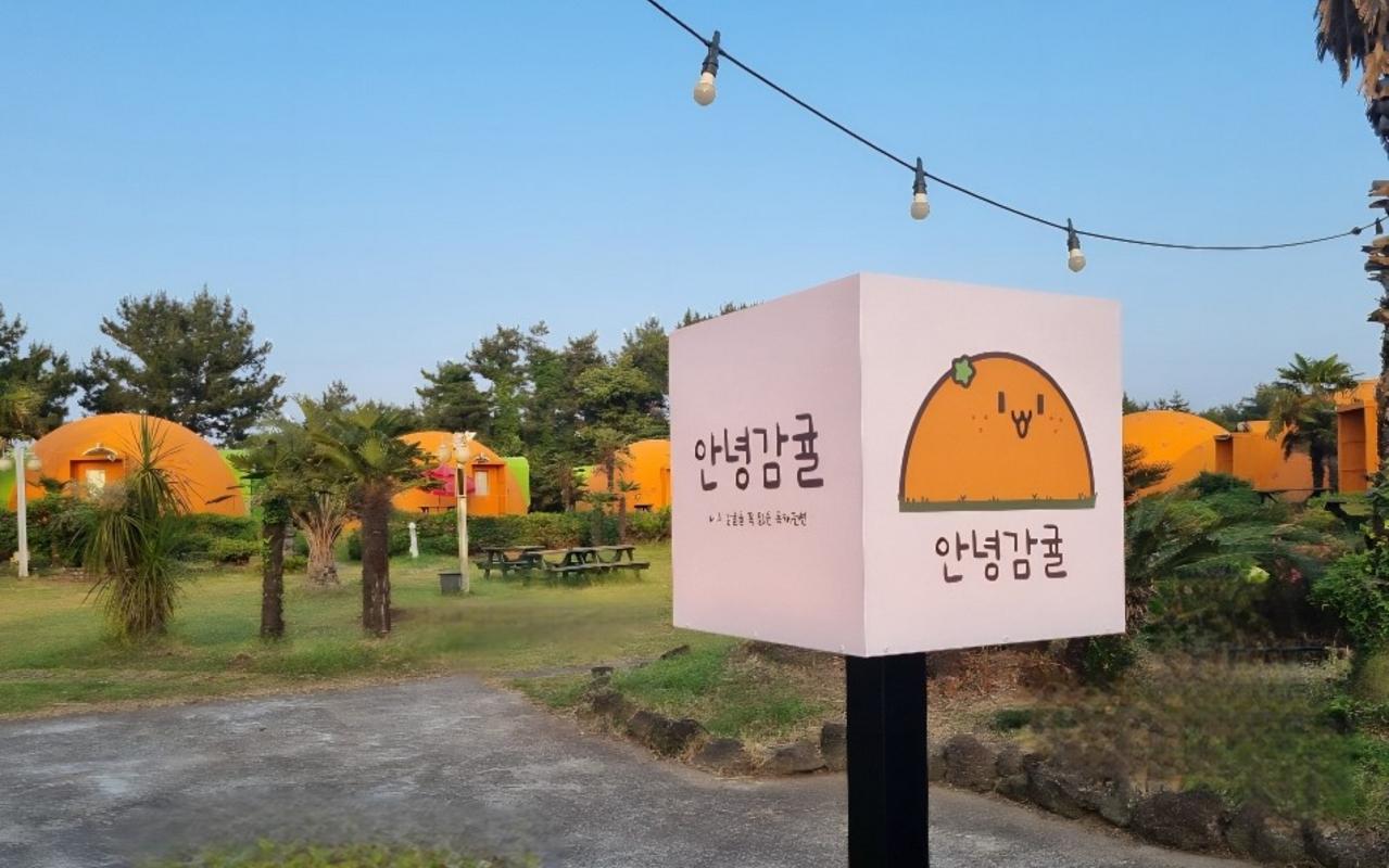 안녕감귤 제주독채펜션 펜션/풀빌라 사진, 가격, 위치소개 | NOL
